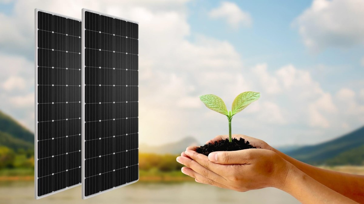 What Is The Environmental Impact Of Solar Panels? | YellowLite