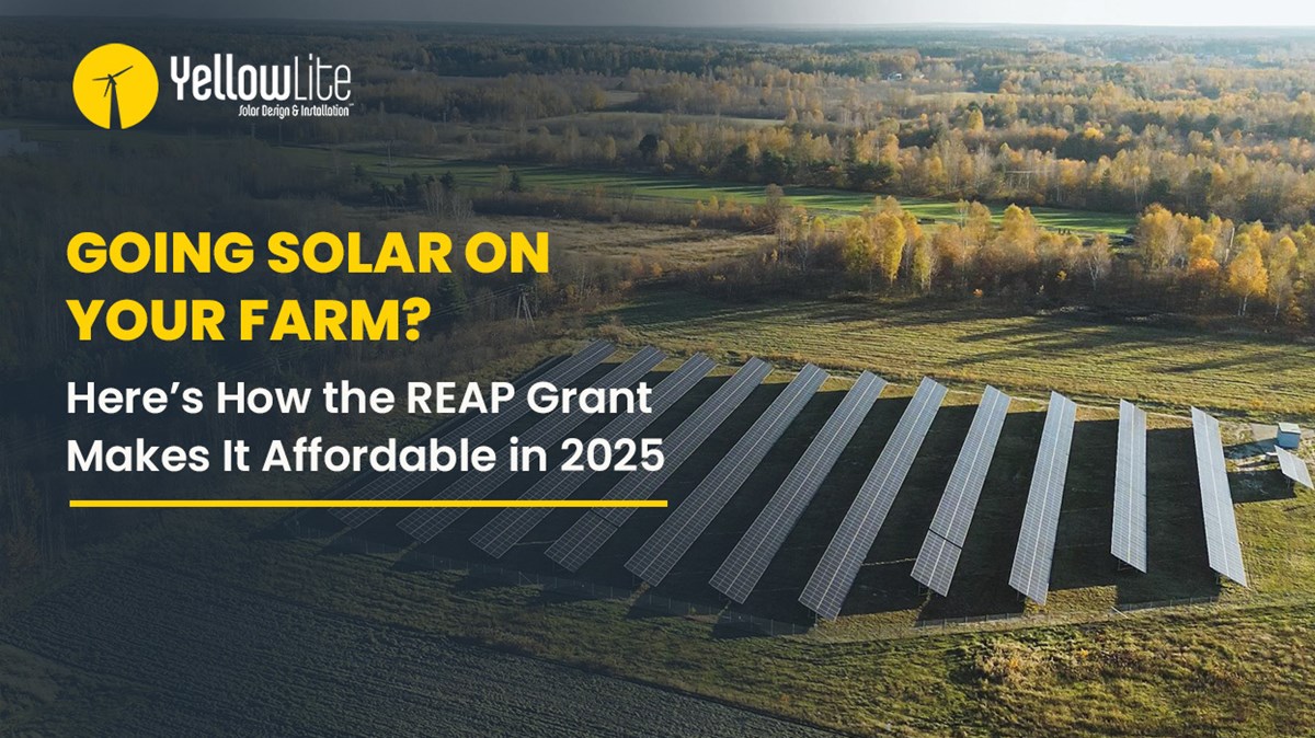 Solar Panels For Farms Reap Grant | YellowLite
